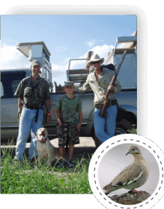 Home - Mathers Dove Hunt
